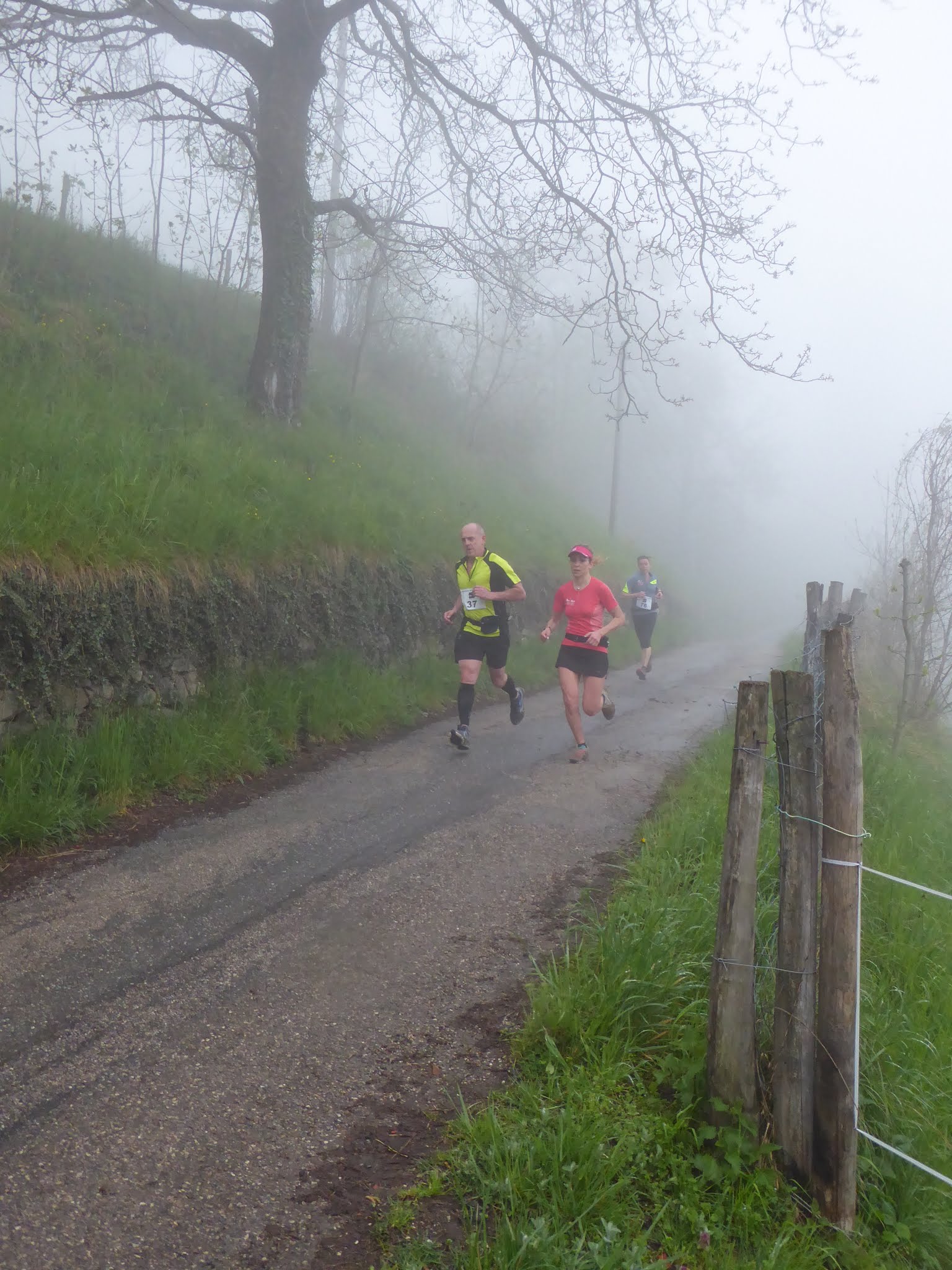 Cross ou trail ? – Mary Mary Run Run